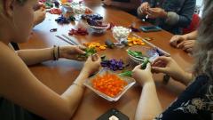 Arianna DiCicco 3 | SAI Programs