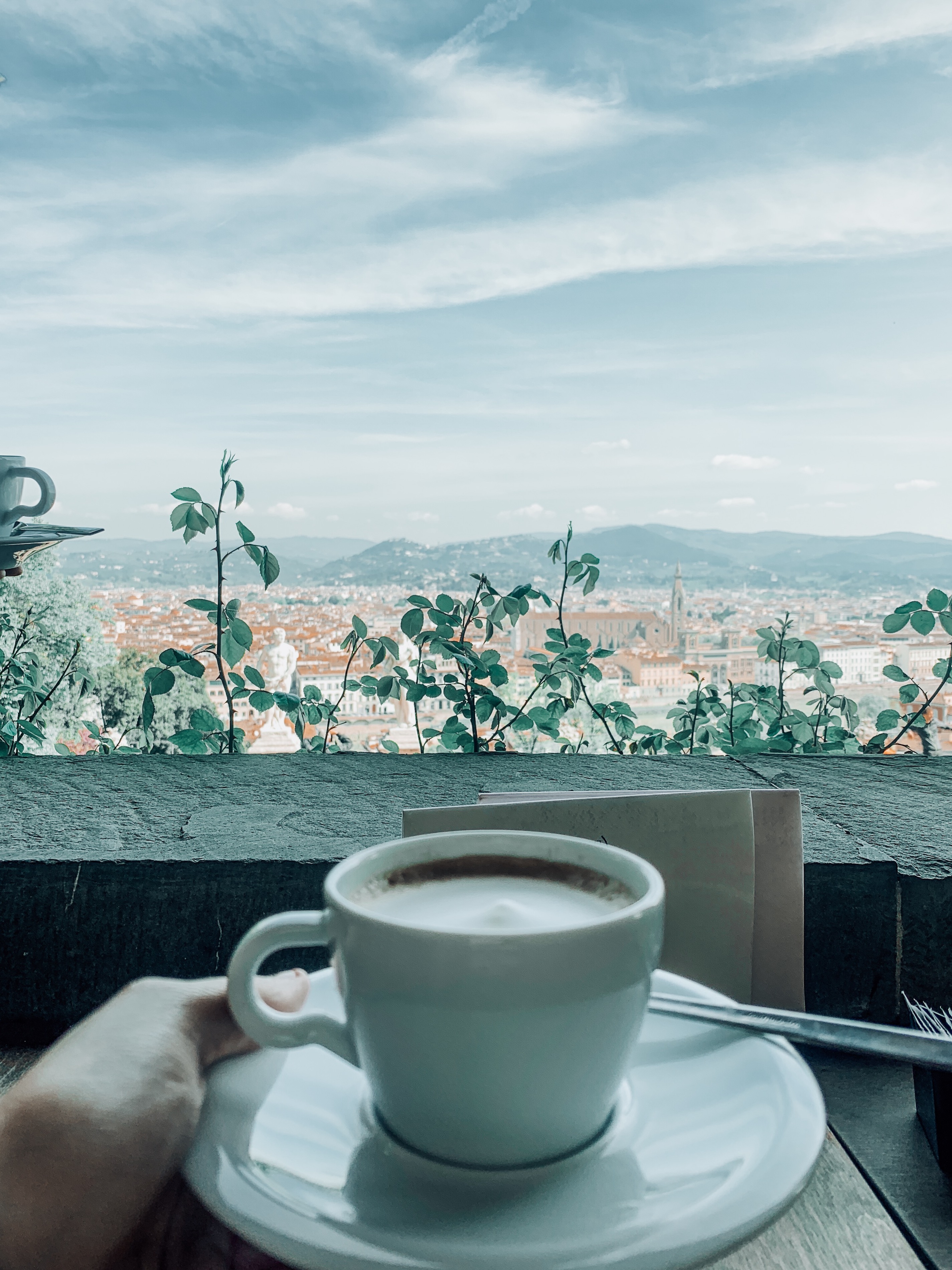 Cappuccino | SAI Programs