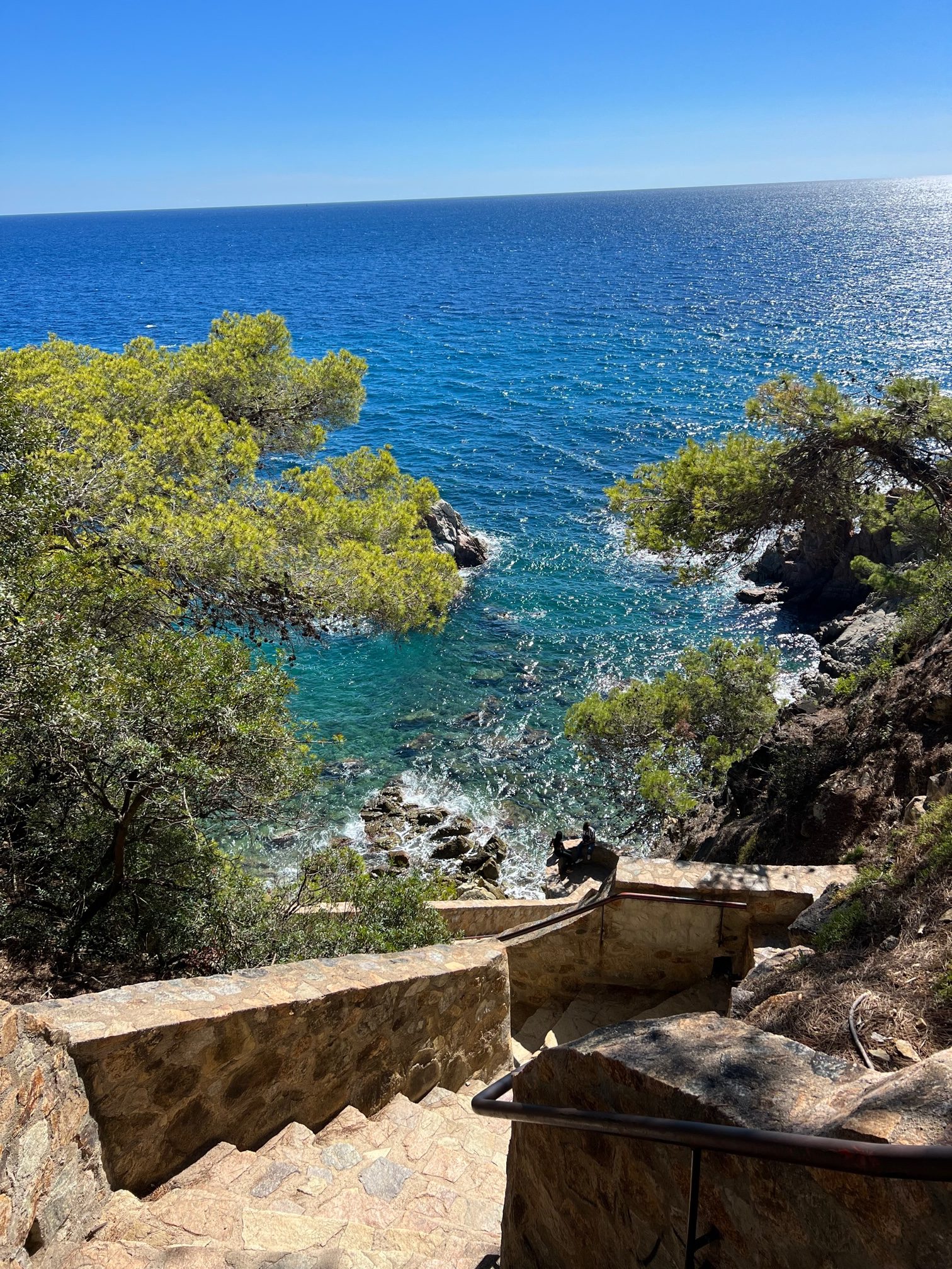 kailyn | SAI Programs