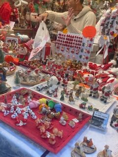 IMG_5684 | SAI Programs