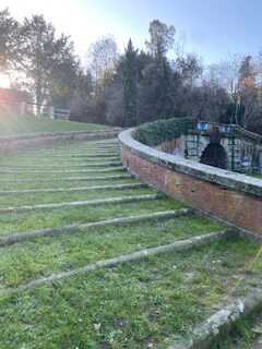 IMG_2495 | SAI Programs