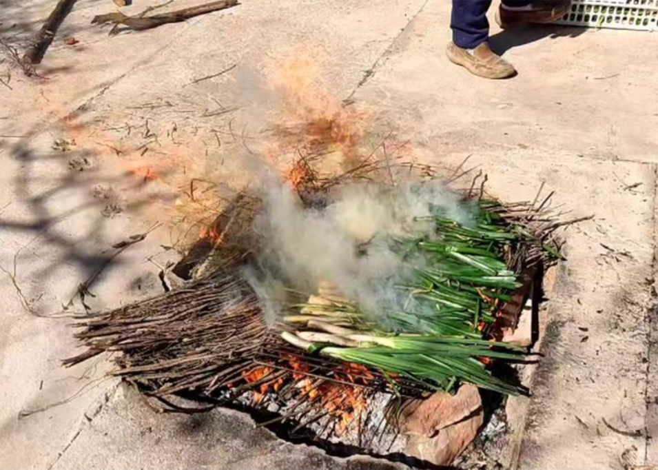 Calçotada in Barcelona