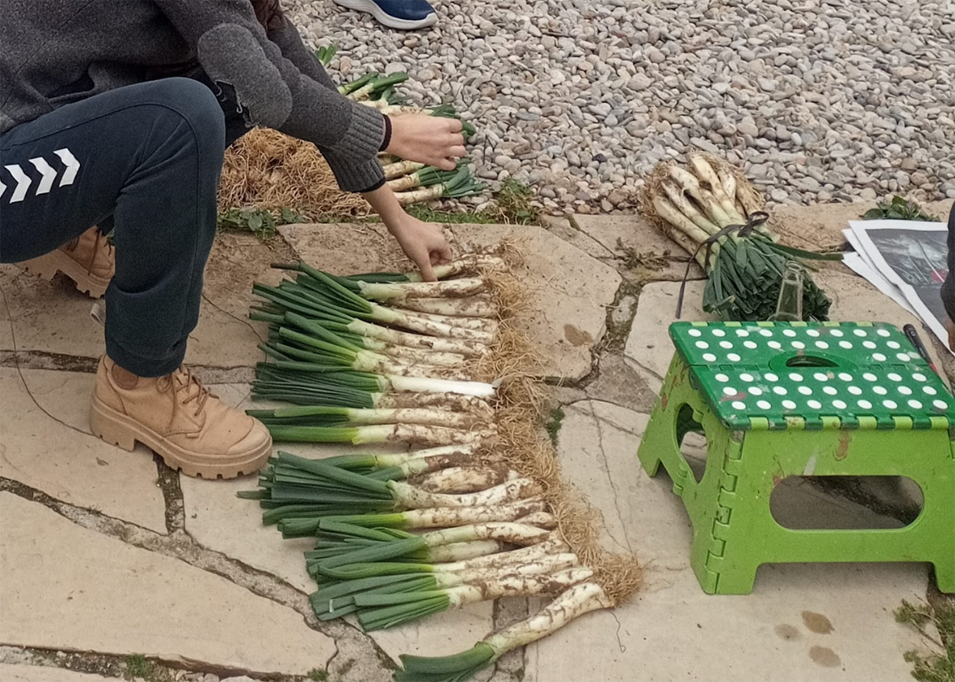 Calçotada in Barcelona