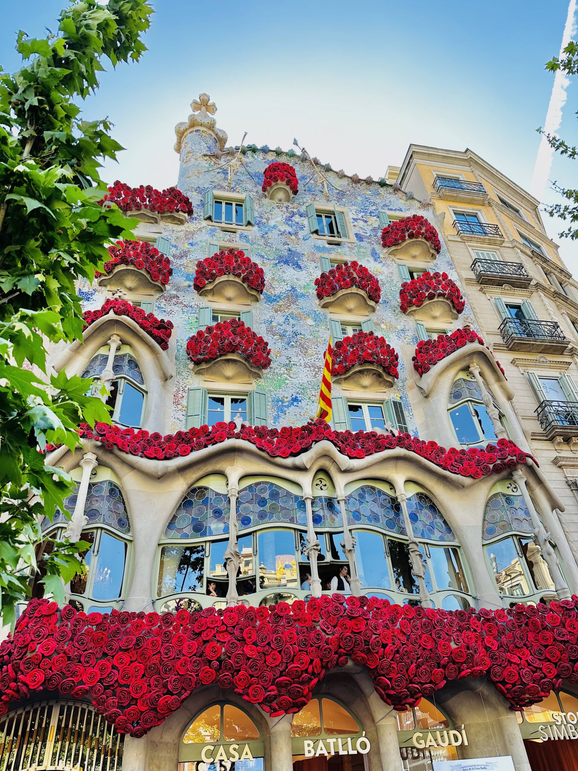 CasaB2 | SAI Programs