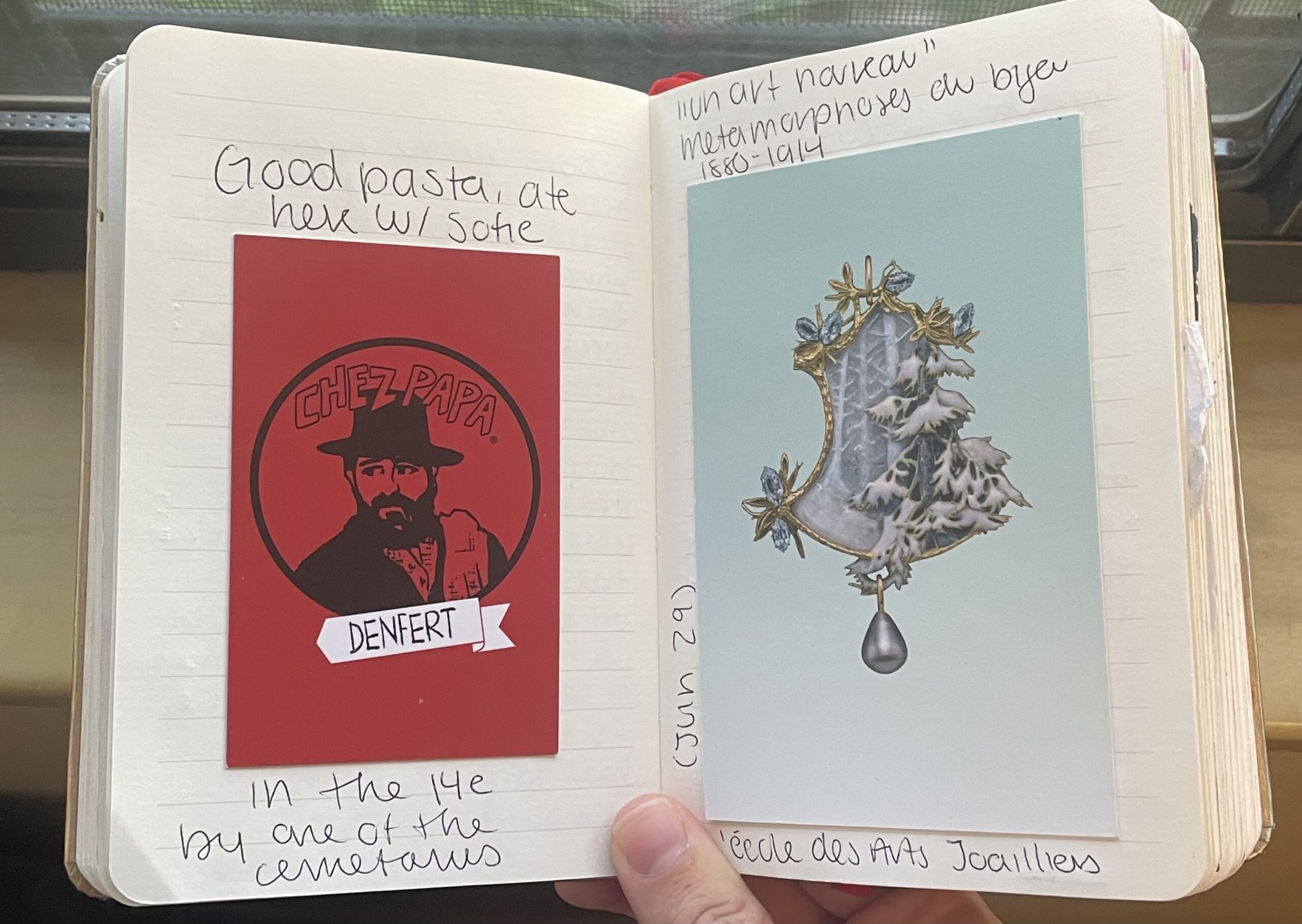 IMG-3695 | SAI Programs