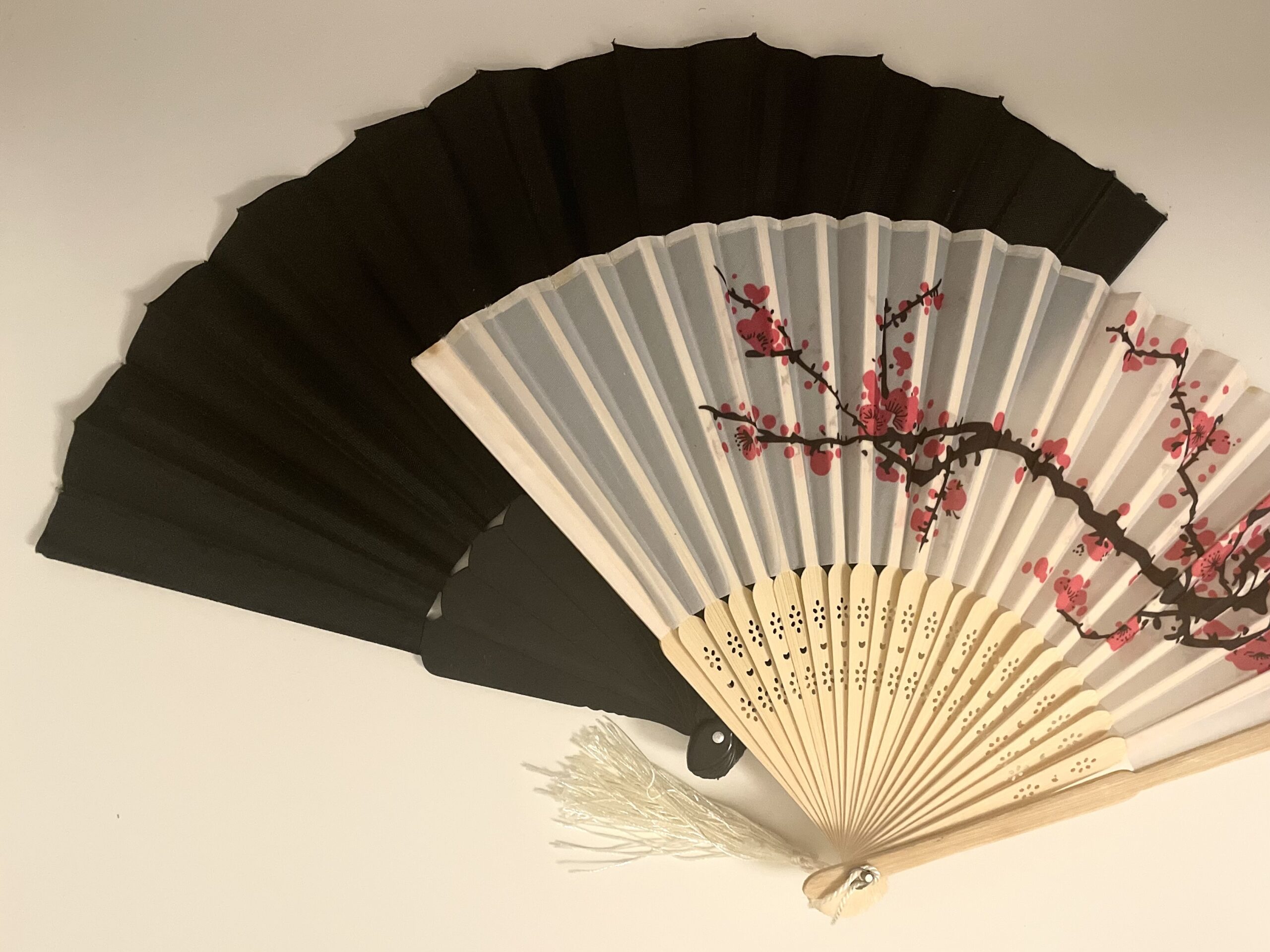 Image-3-Fans | SAI Programs