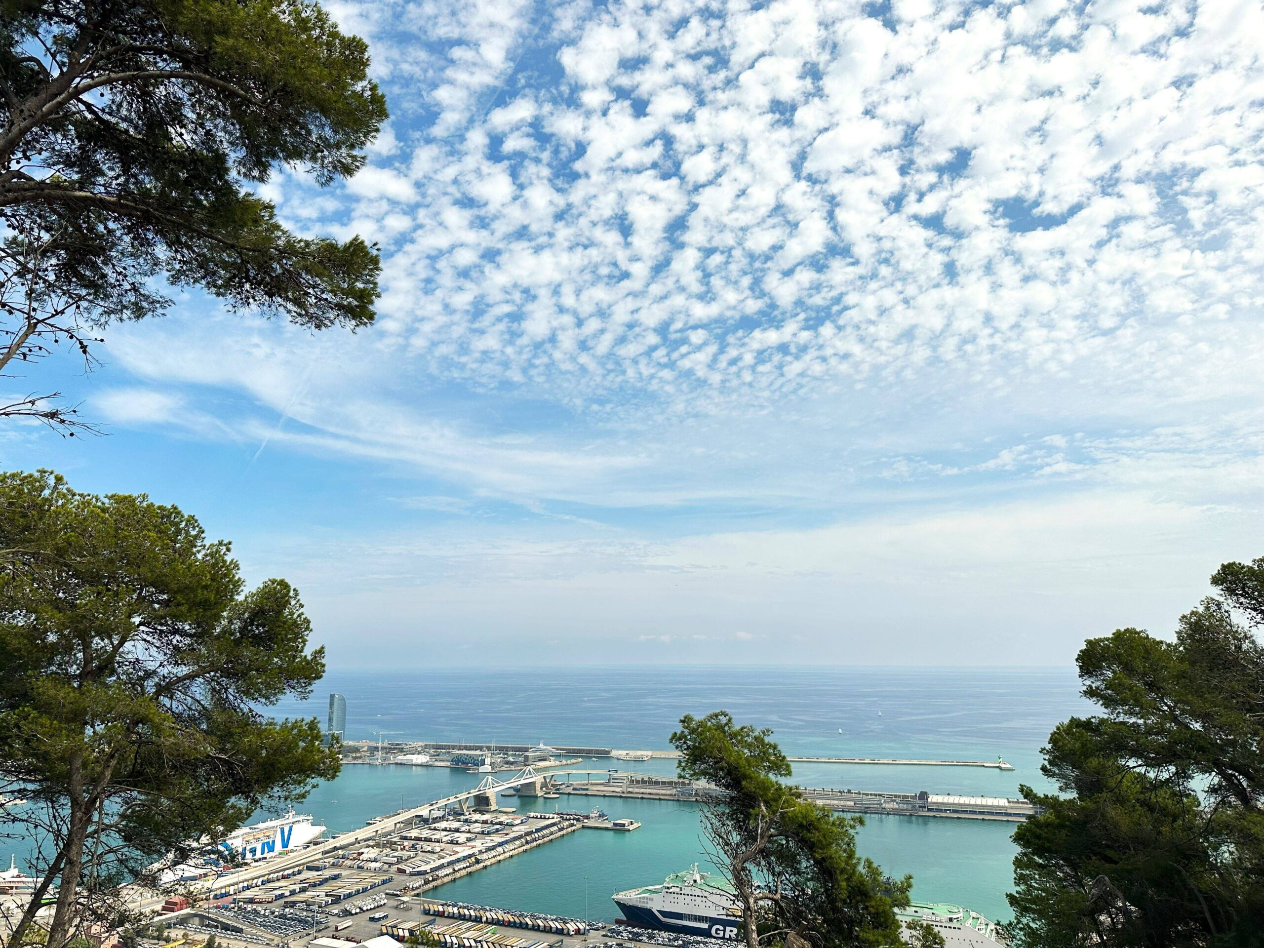 OCEAN-VIEW | SAI Programs