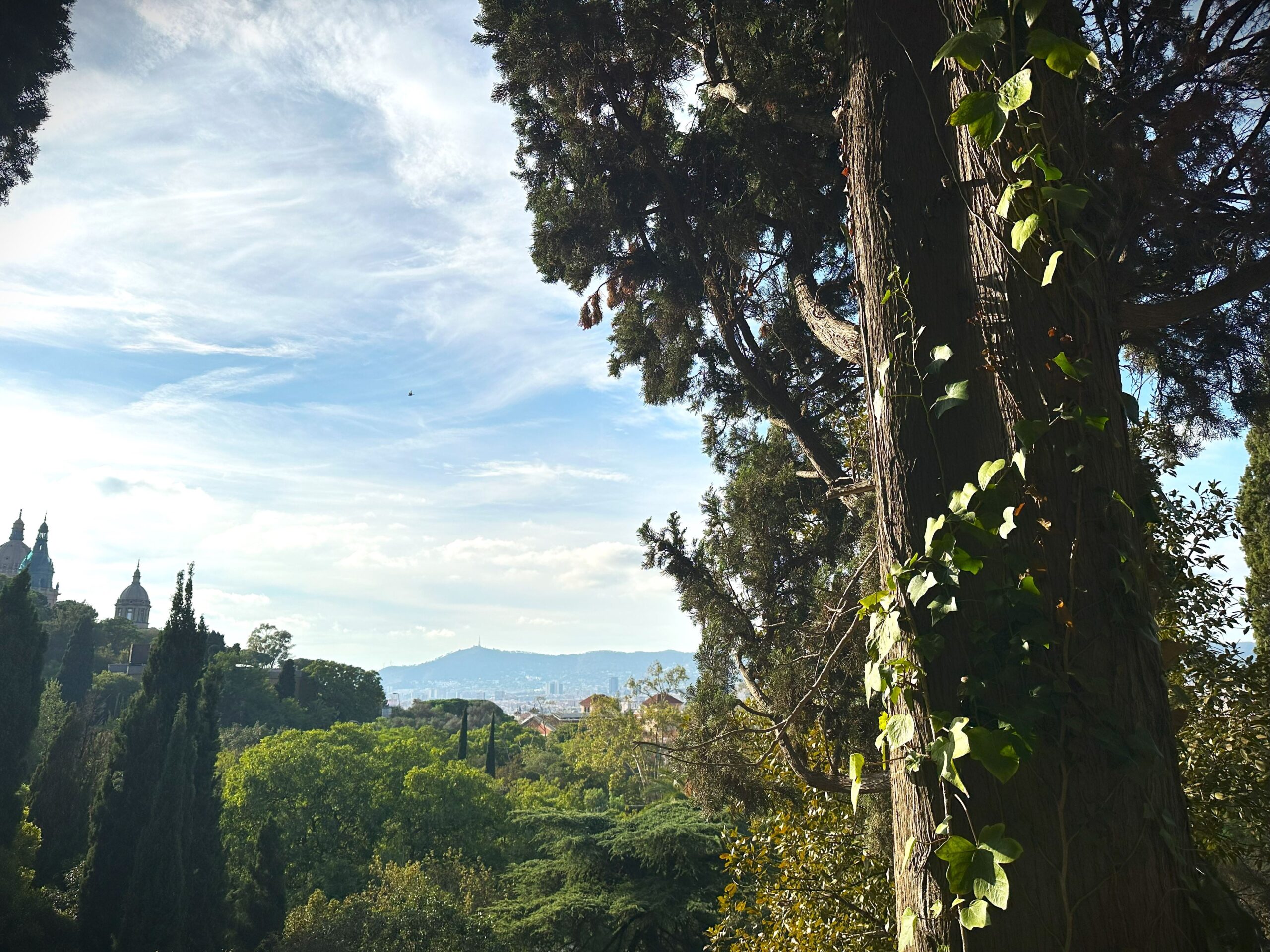 PARK-VIEW | SAI Programs