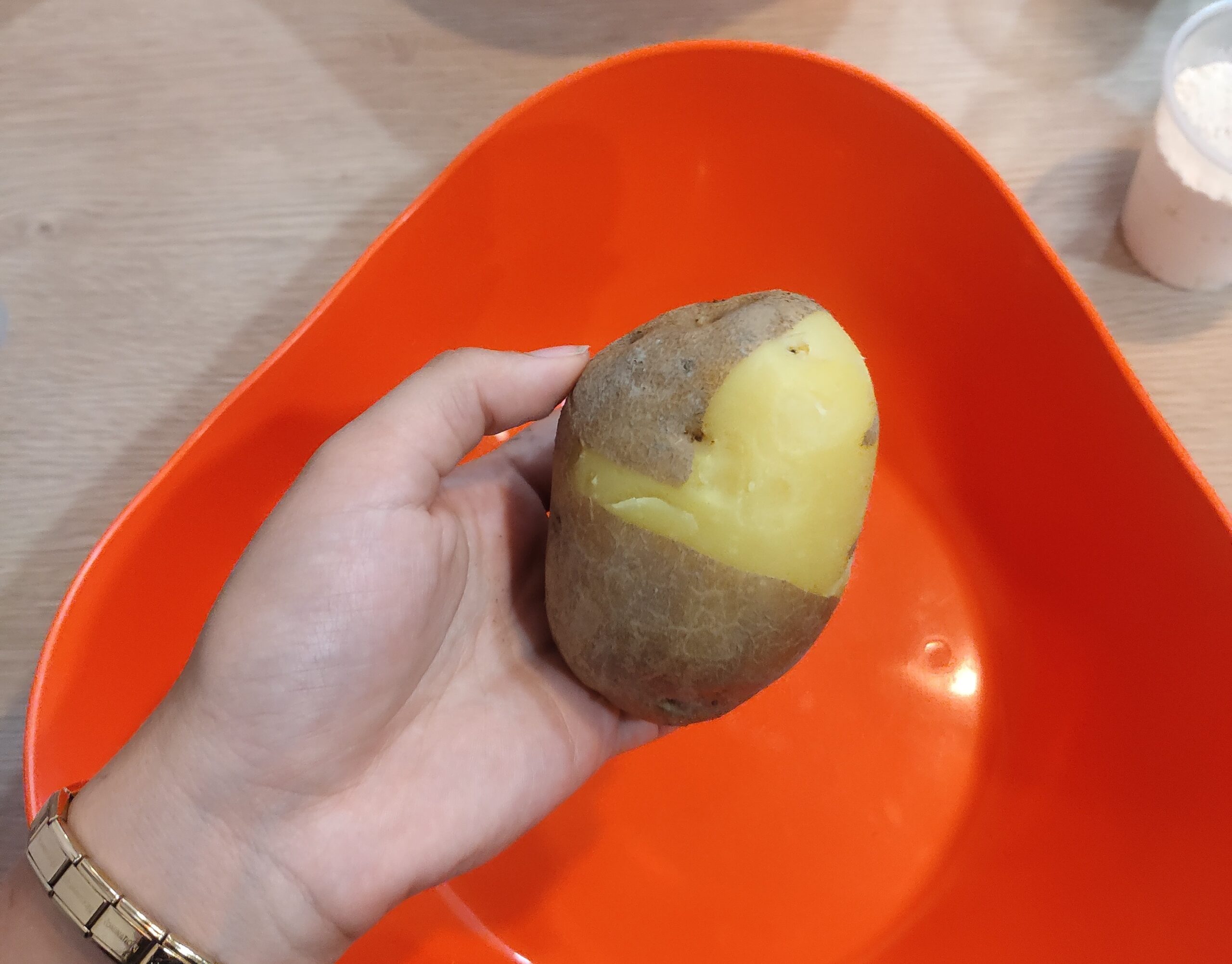 step-1.1 | SAI Programs