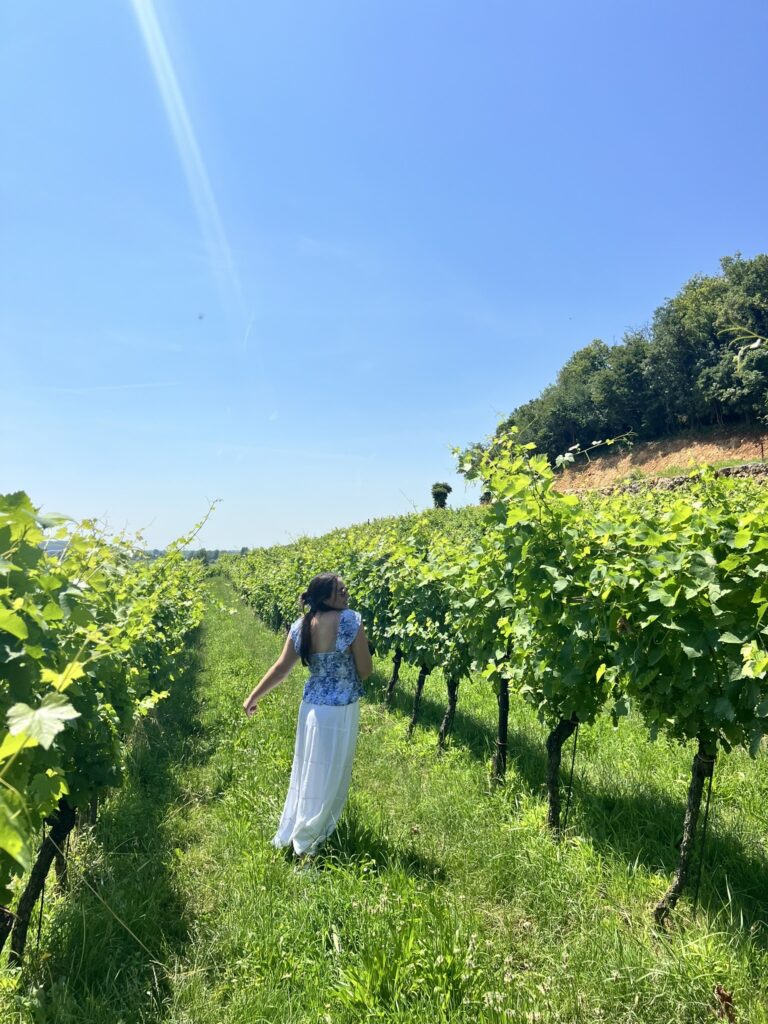 Food Production and Consumption in Italy Faculty Led Program