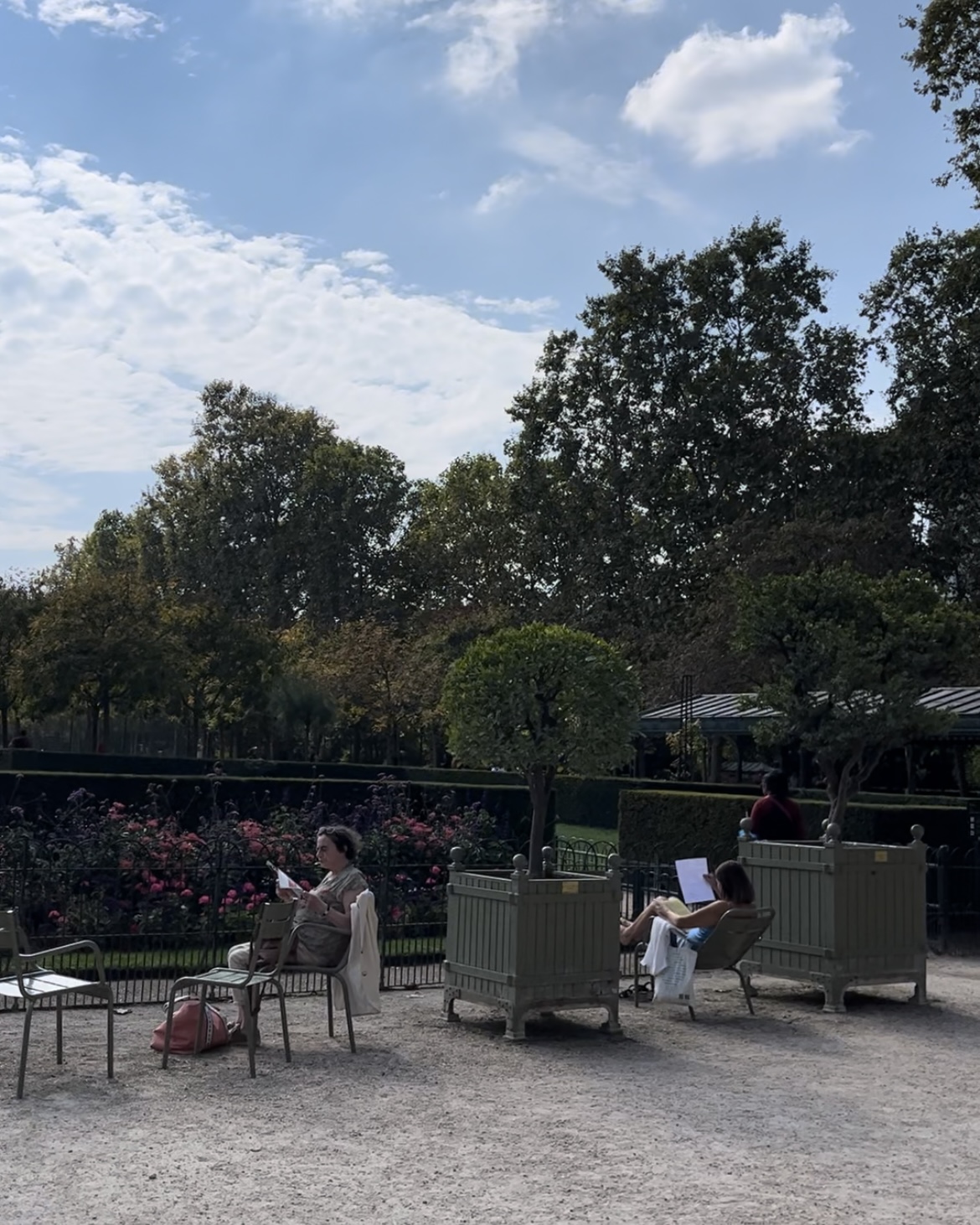 Screenshot | SAI Programs