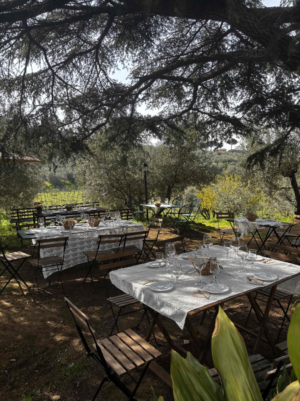 Frascati (1) | SAI Programs